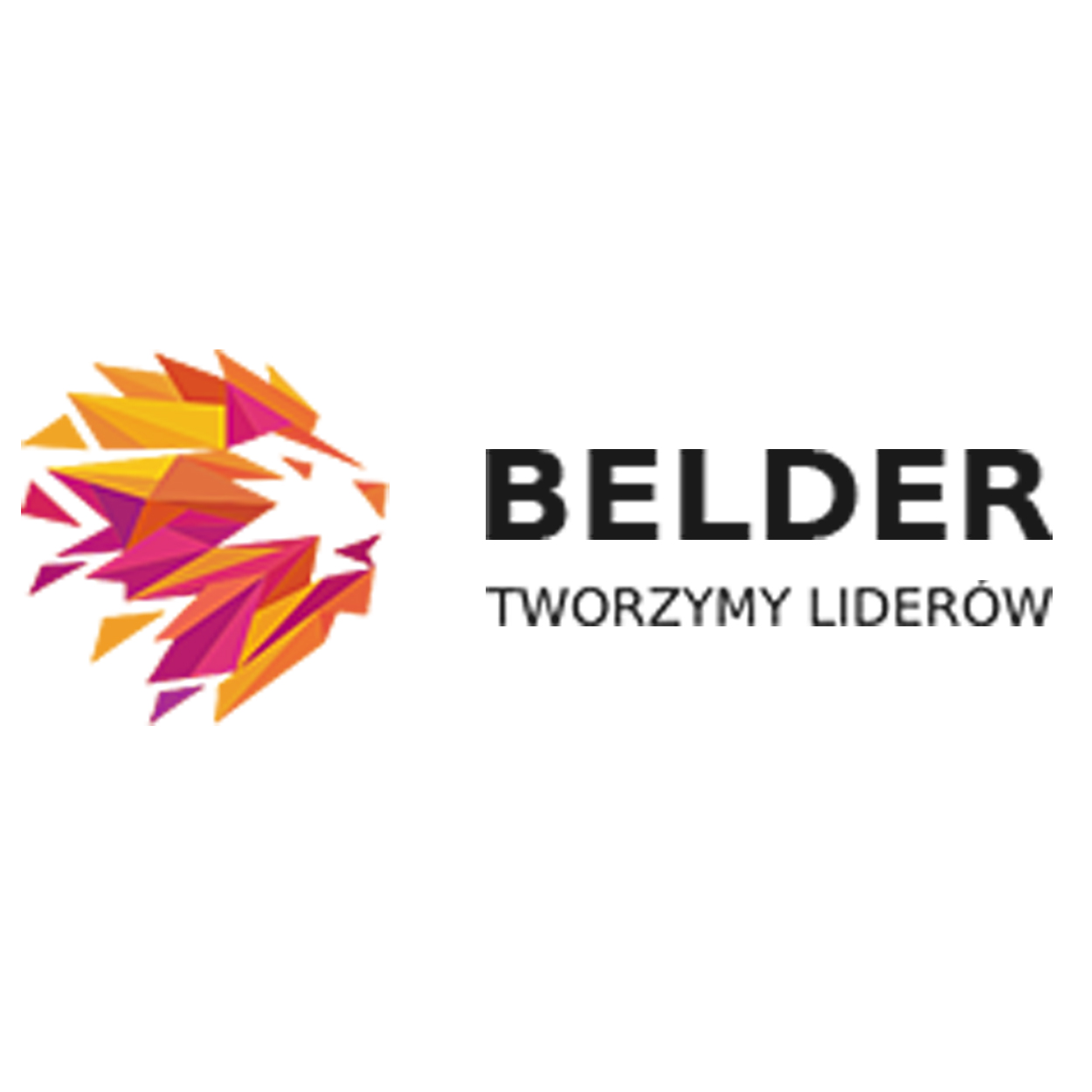 Priorytet 1 Programu Fundusze Europejskie dla Nowoczesnej Gospodarki ...